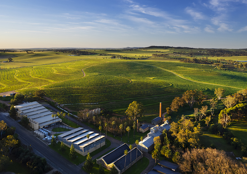 Experience the Seppeltsfield Estate - Seppeltsfield Barossa