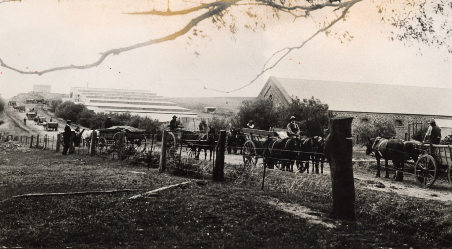 History - Seppeltsfield Barossa